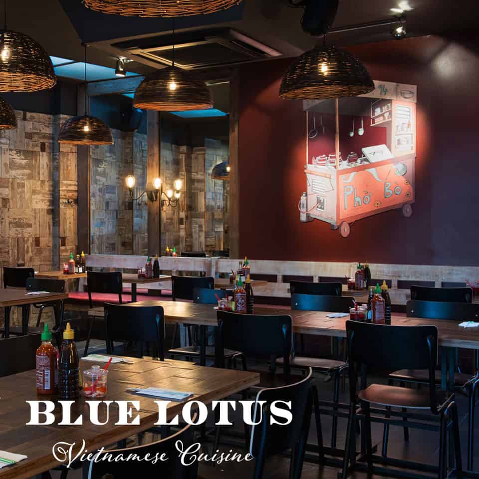 Blue Lotus Vietnamese Cuisine - DiMarC Design Solutions